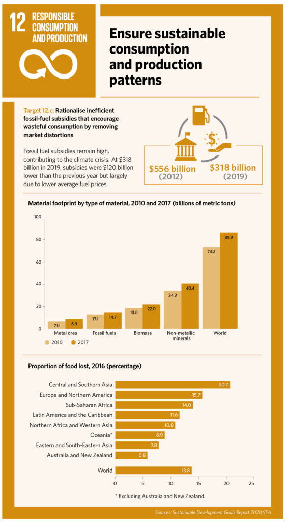 SDG12 - Sustainable Goals