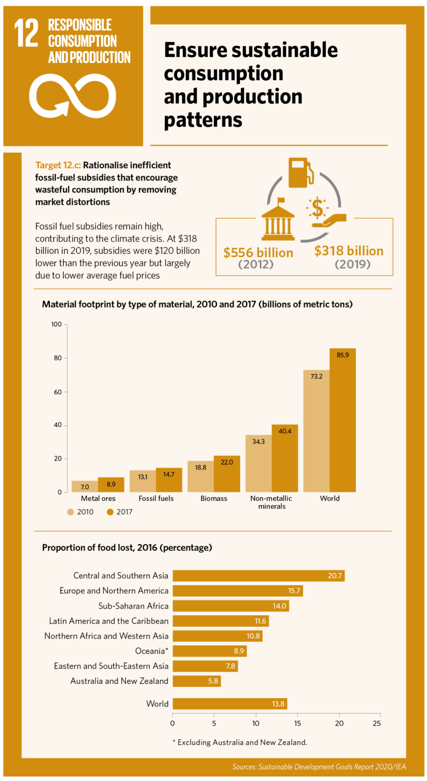 SDG12 - Sustainable Goals